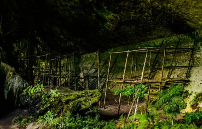 Niah Cave National Park Discovery | Paradesa Borneo